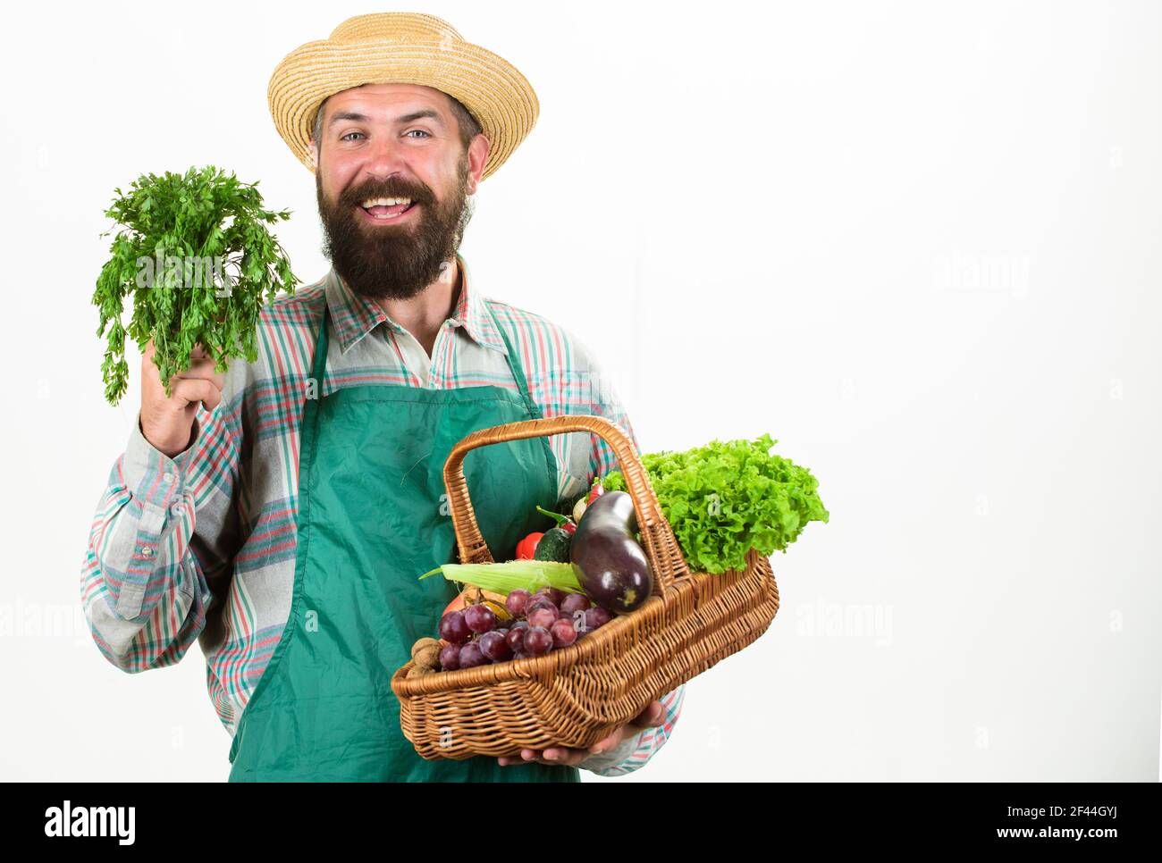 Farmer straw hat hold parsley and basket vegetables. Fresh organic ...