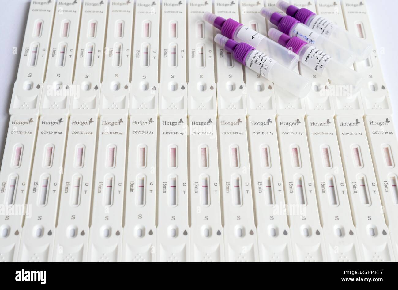 GERMANY, Hamburg, Corona Crisis, COVID-19 rapid testing with PoC ...