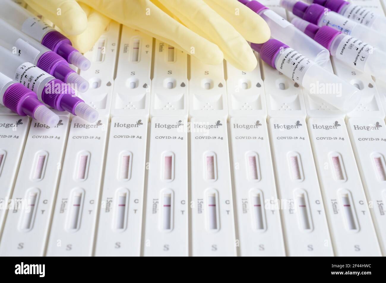 GERMANY, Hamburg, Corona Crisis, COVID-19 rapid testing with PoC ...