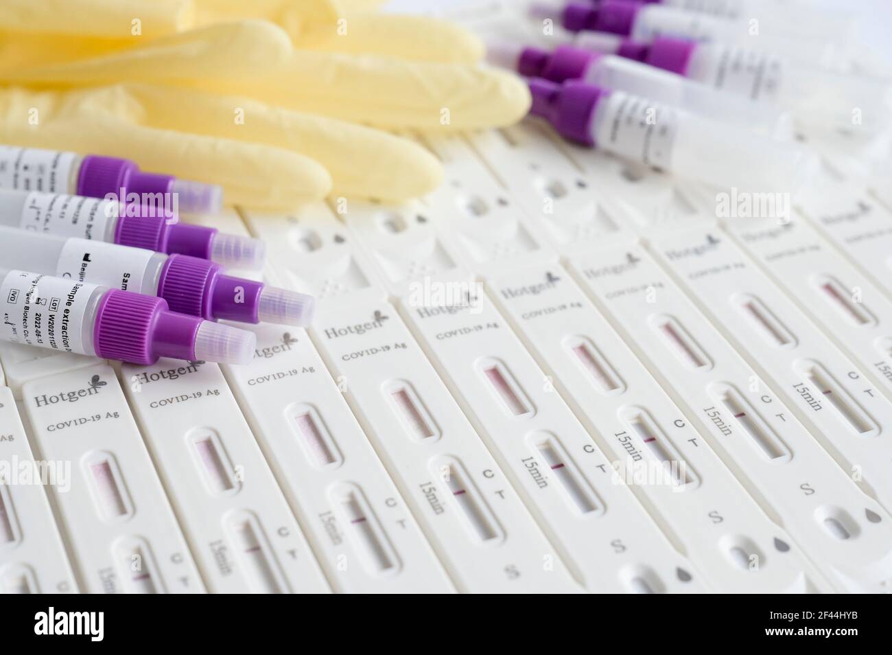 GERMANY, Hamburg, Corona Crisis, COVID-19 rapid testing with PoC ...