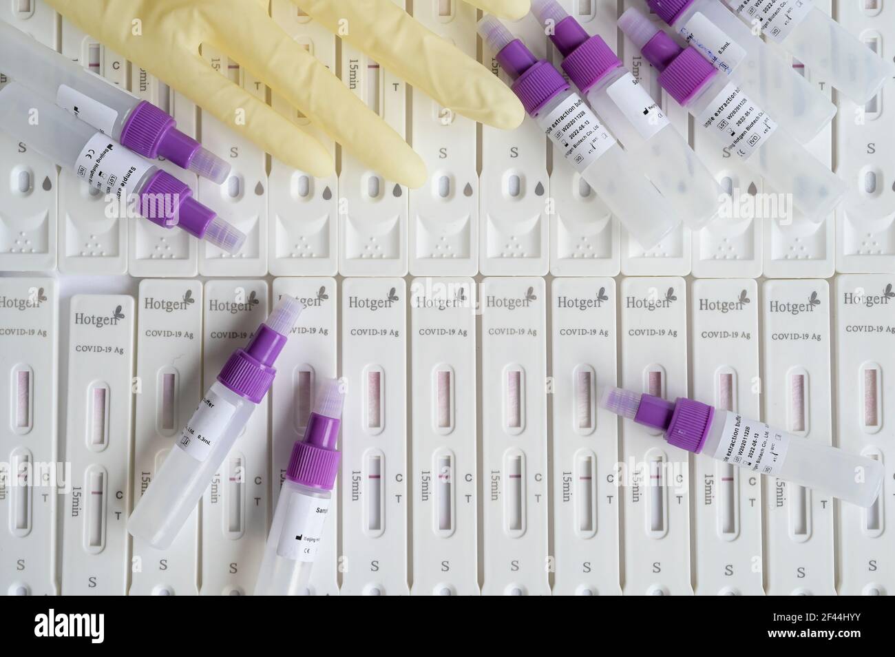 GERMANY, Hamburg, Corona Crisis, COVID-19 rapid testing with PoC ...