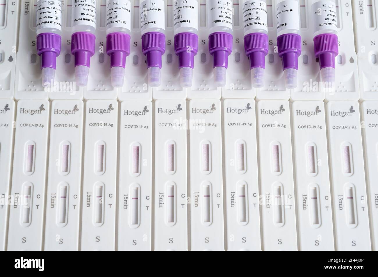 GERMANY, Hamburg, Corona Crisis, COVID-19 rapid testing with PoC ...