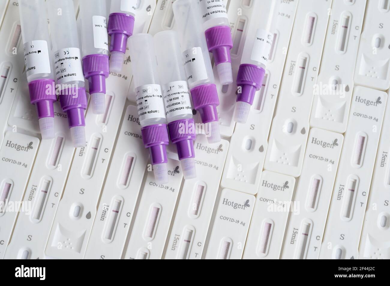 GERMANY, Hamburg, Corona Crisis, COVID-19 rapid testing with PoC ...