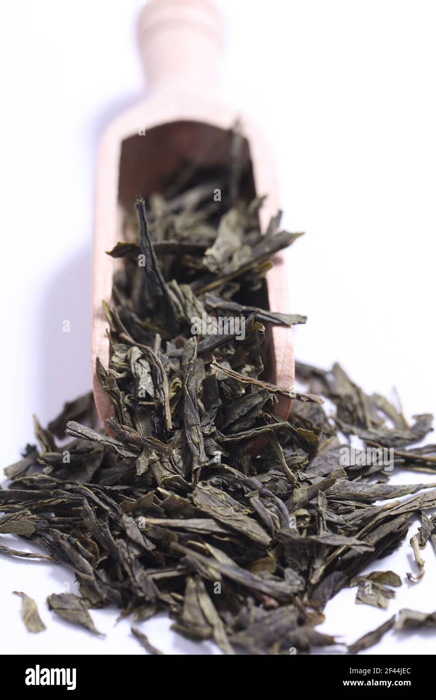 Green tea dried and with rolled leaves Stock Photo - Alamy