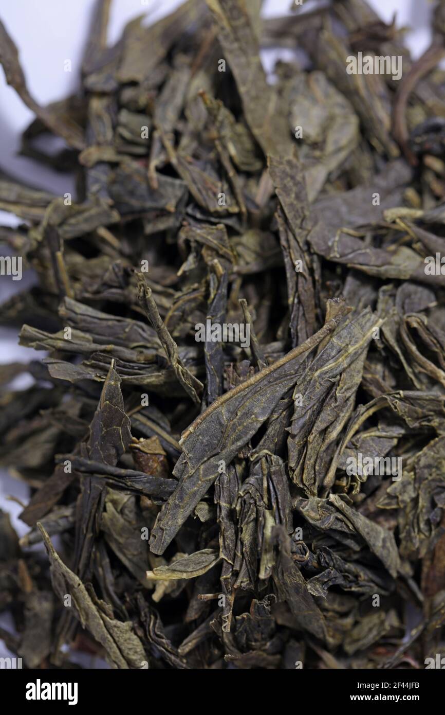 Green tea dried and with rolled leaves Stock Photo - Alamy