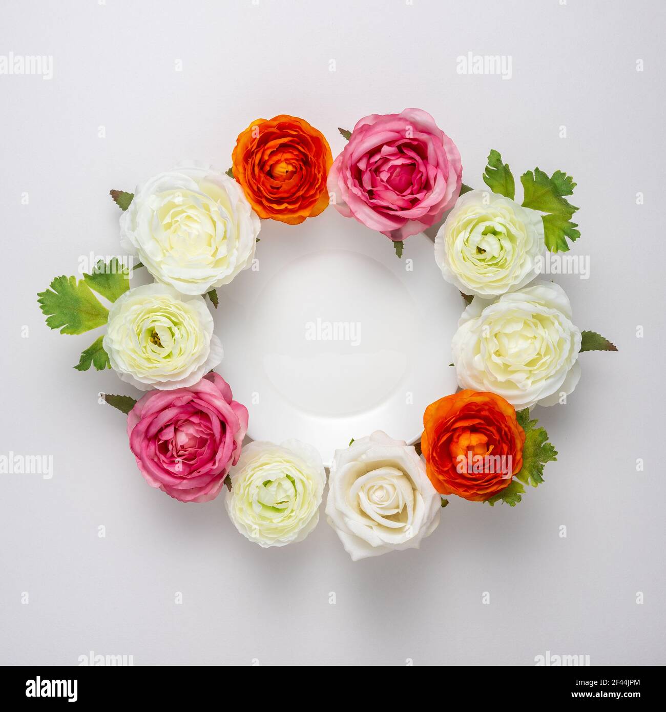 Creative layout of beautiful rose flowers on white background. Minimal ...