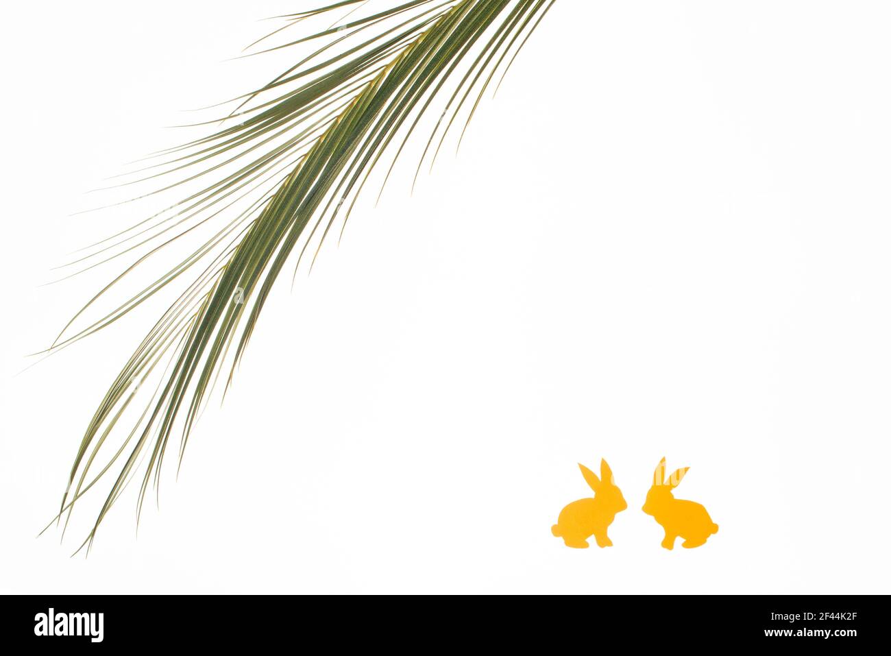 Palm Sunday concept. Palm tree branch and yellow bunnies on white ...