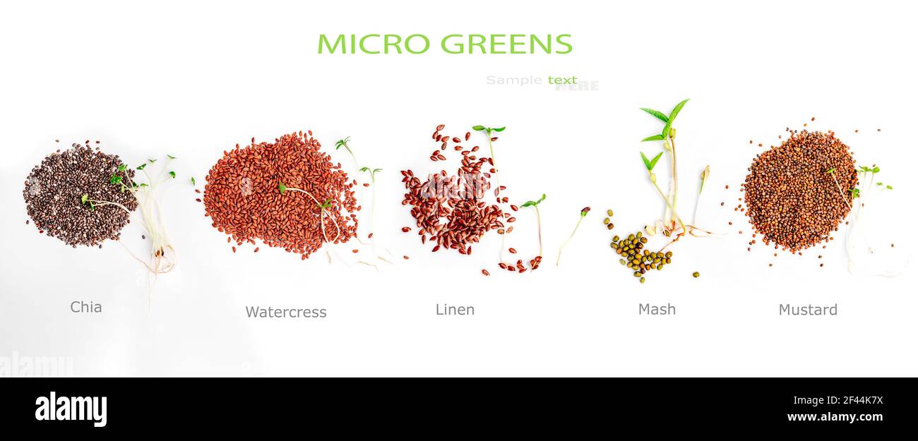 Composition with different seeds Stock Photo - Alamy