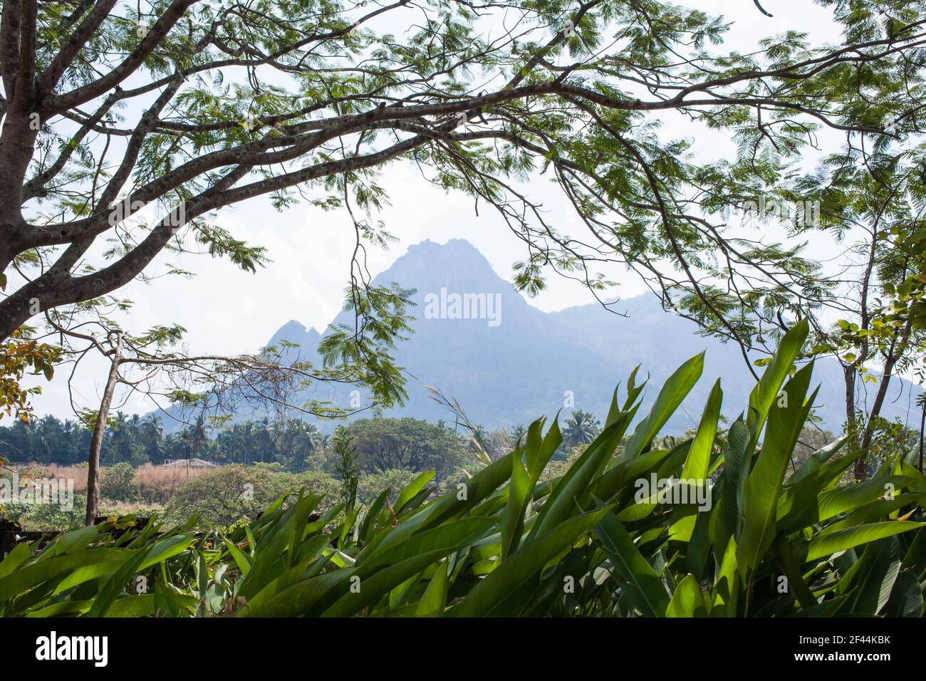 Kanjirapuzha dam hi-res stock photography and images - Alamy