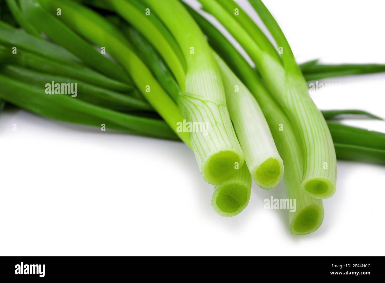 Macro of spring onions, Green onions idolated on white backgrounds ...