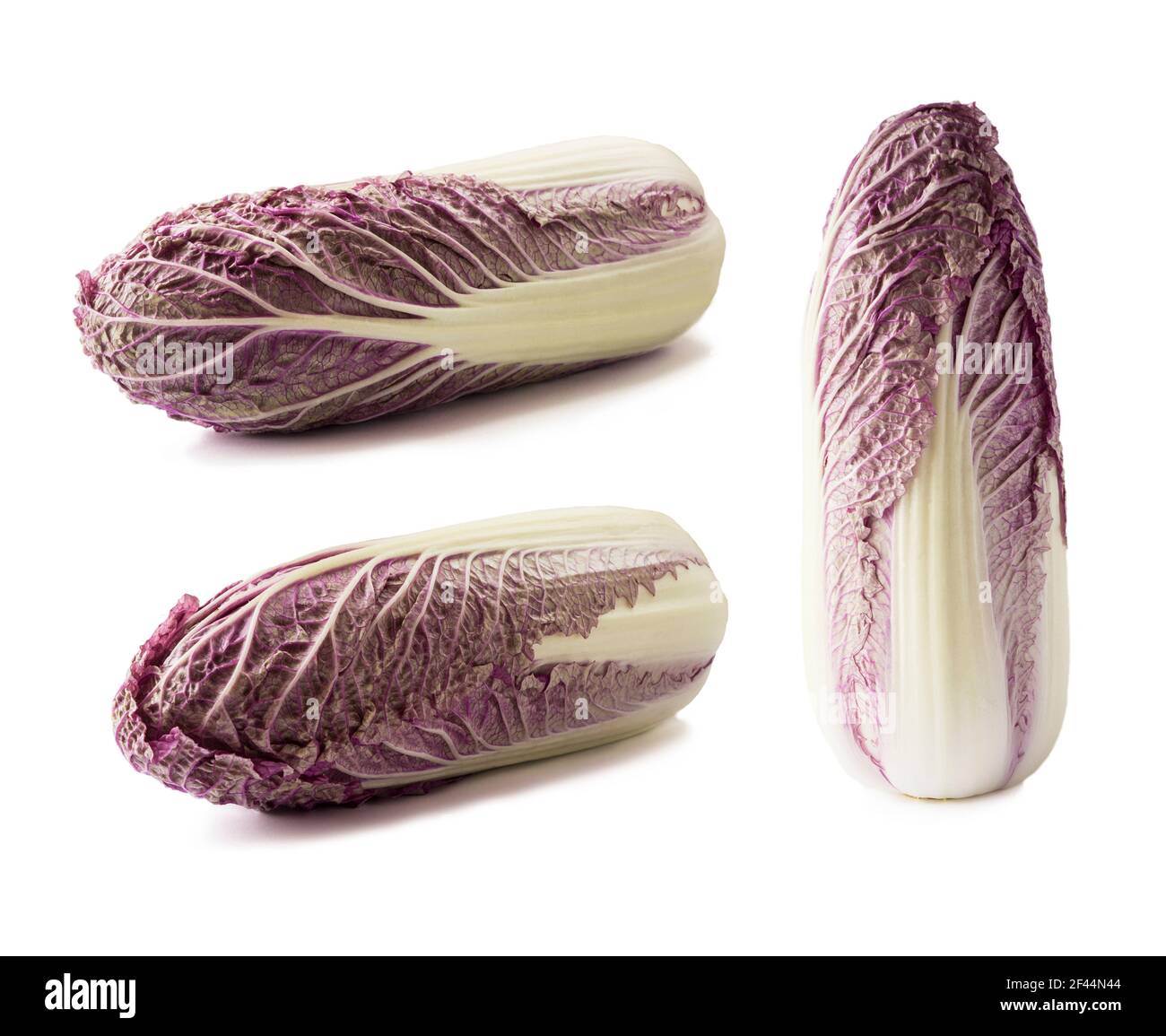 Purple napa cabbage on white. Purple chinese cabbage isolated on white ...
