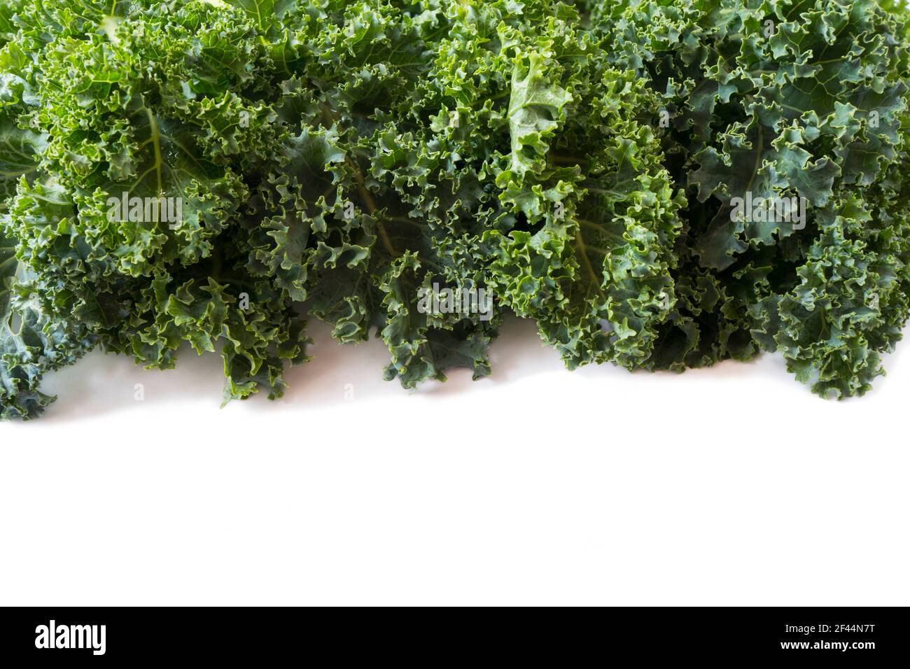 Top view. Kale leaves on a white background. Background of kale leaves ...