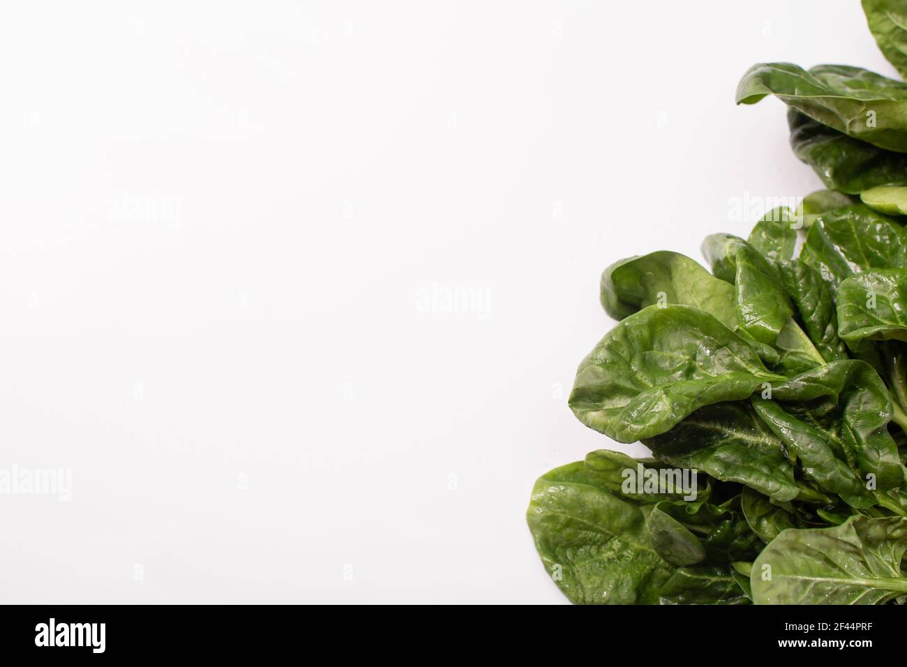 Empty space for writing hi-res stock photography and images - Alamy