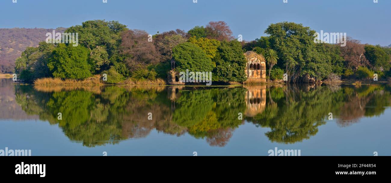 Ranthambore tiger temple hi-res stock photography and images - Alamy
