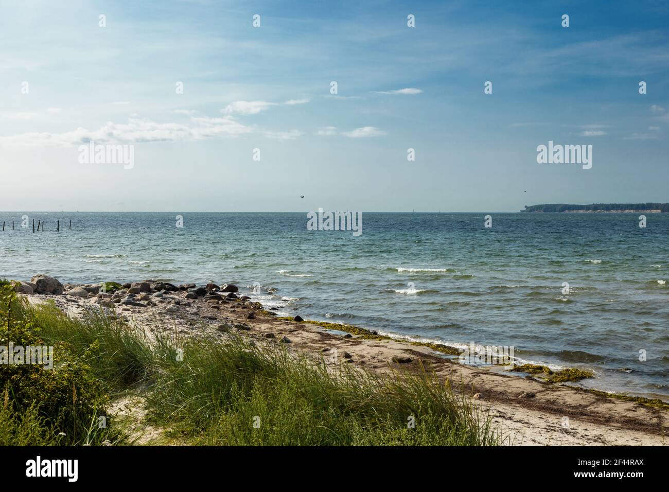 The north sea in Denmark during summer Stock Photo - Alamy