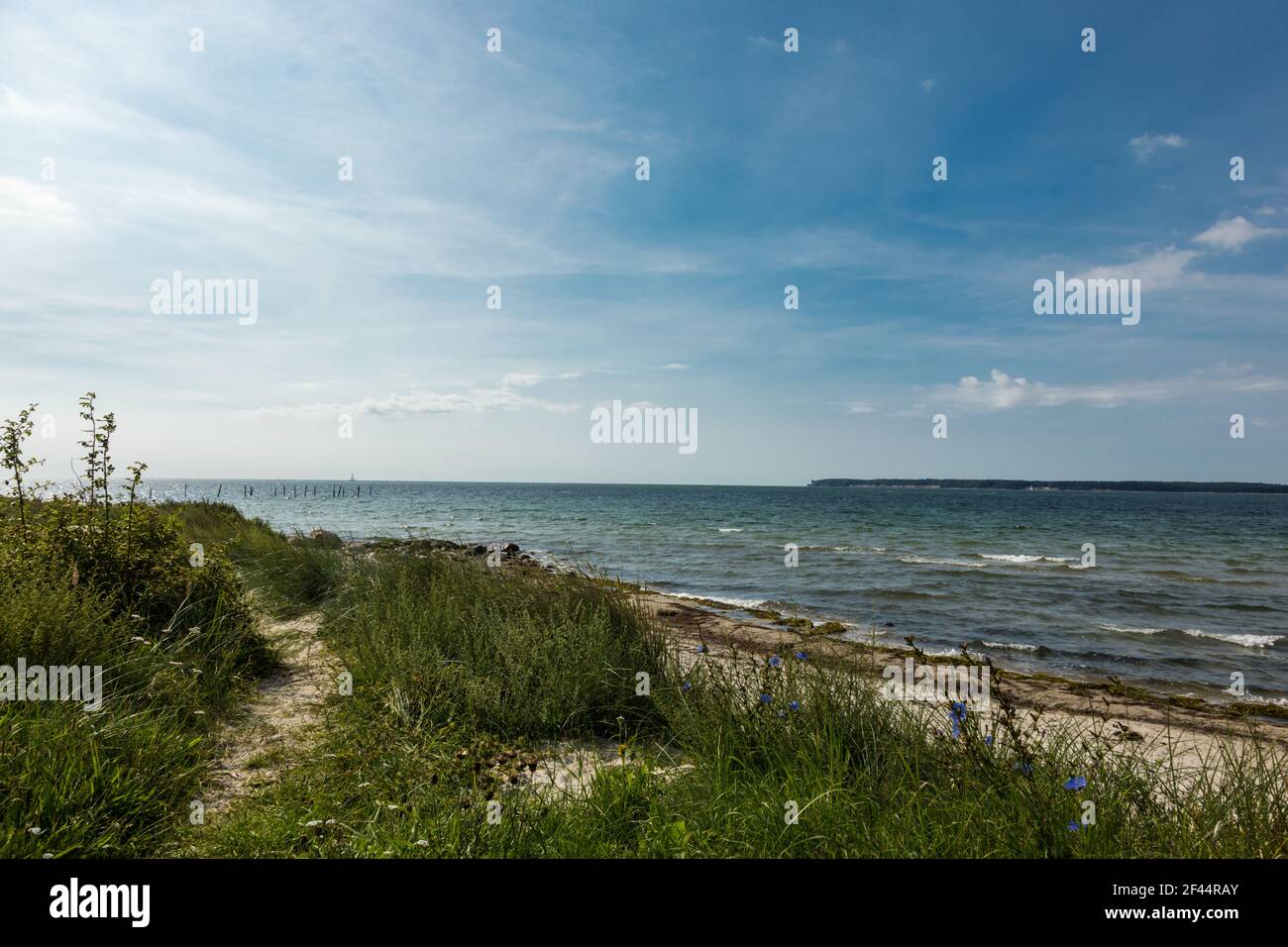 The north sea in Denmark during summer Stock Photo - Alamy