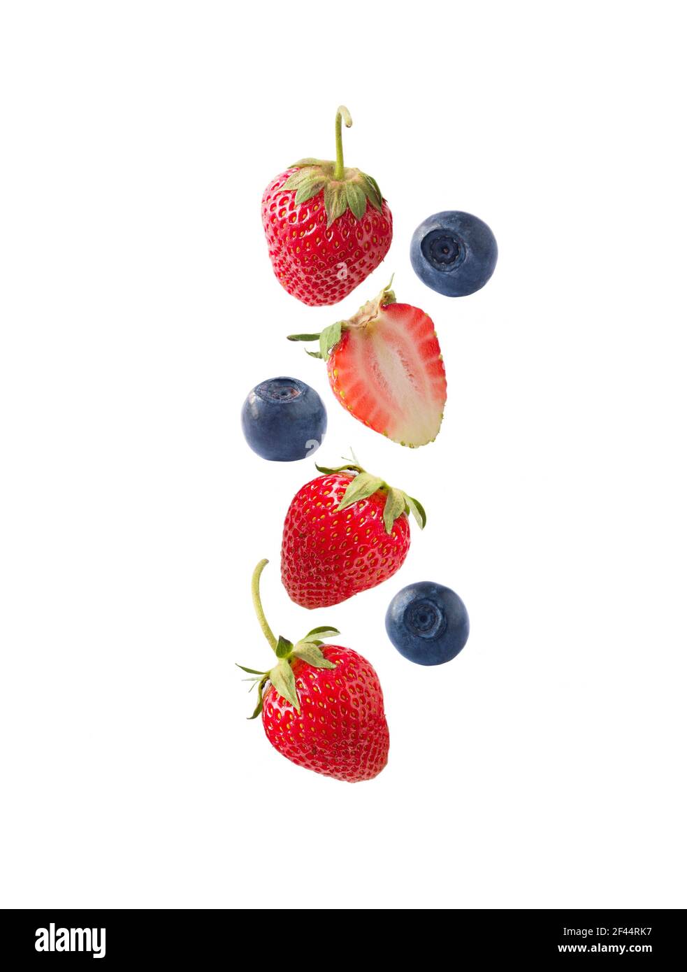 Red blueberry bushes on Cut Out Stock Images & Pictures - Alamy