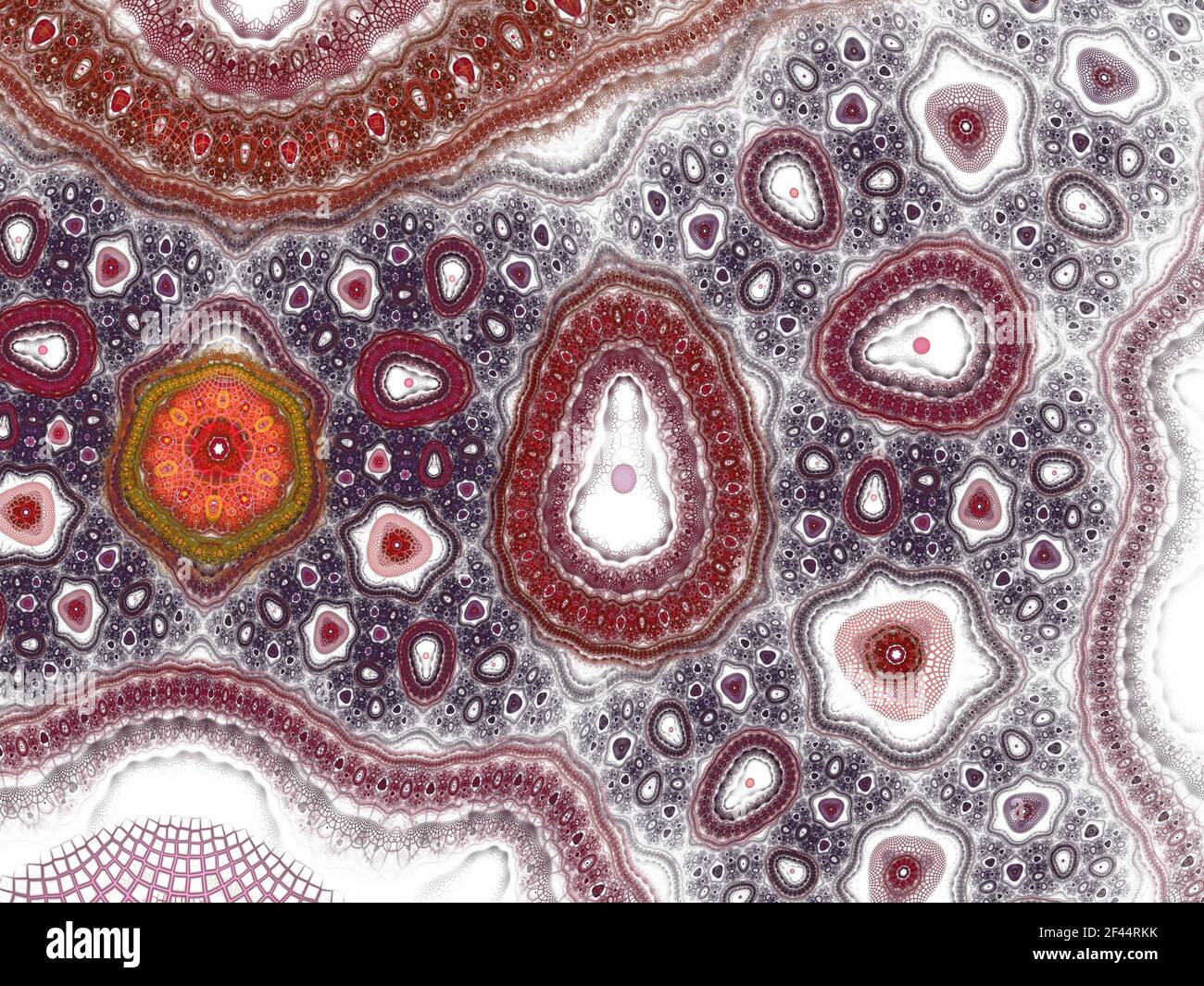 Abstract bio mitosis background. Rendered close up illustration ...