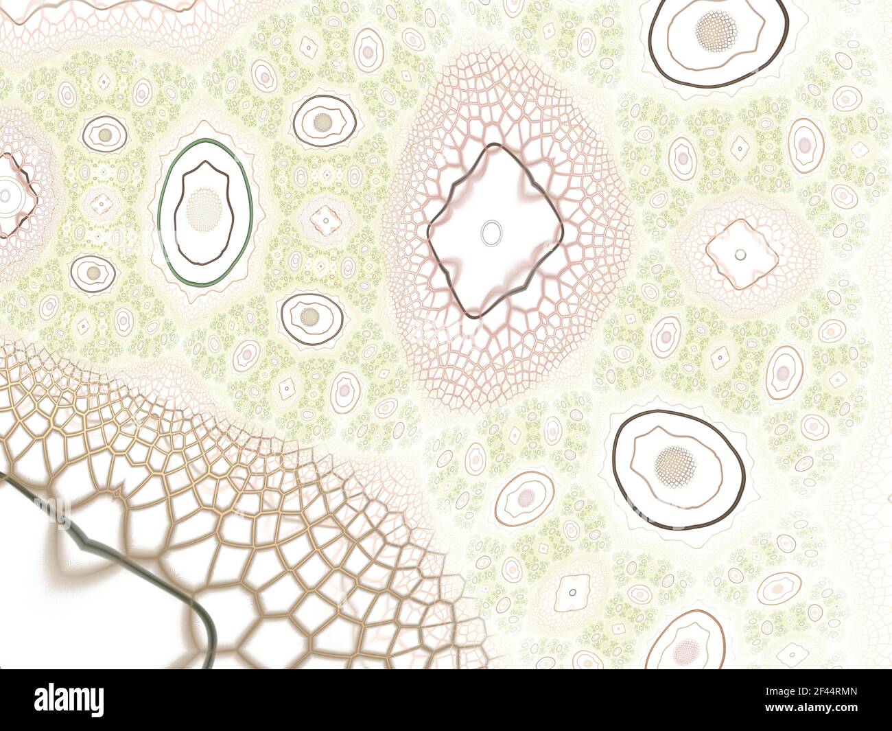 Abstract bio mitosis background. Rendered close up illustration ...