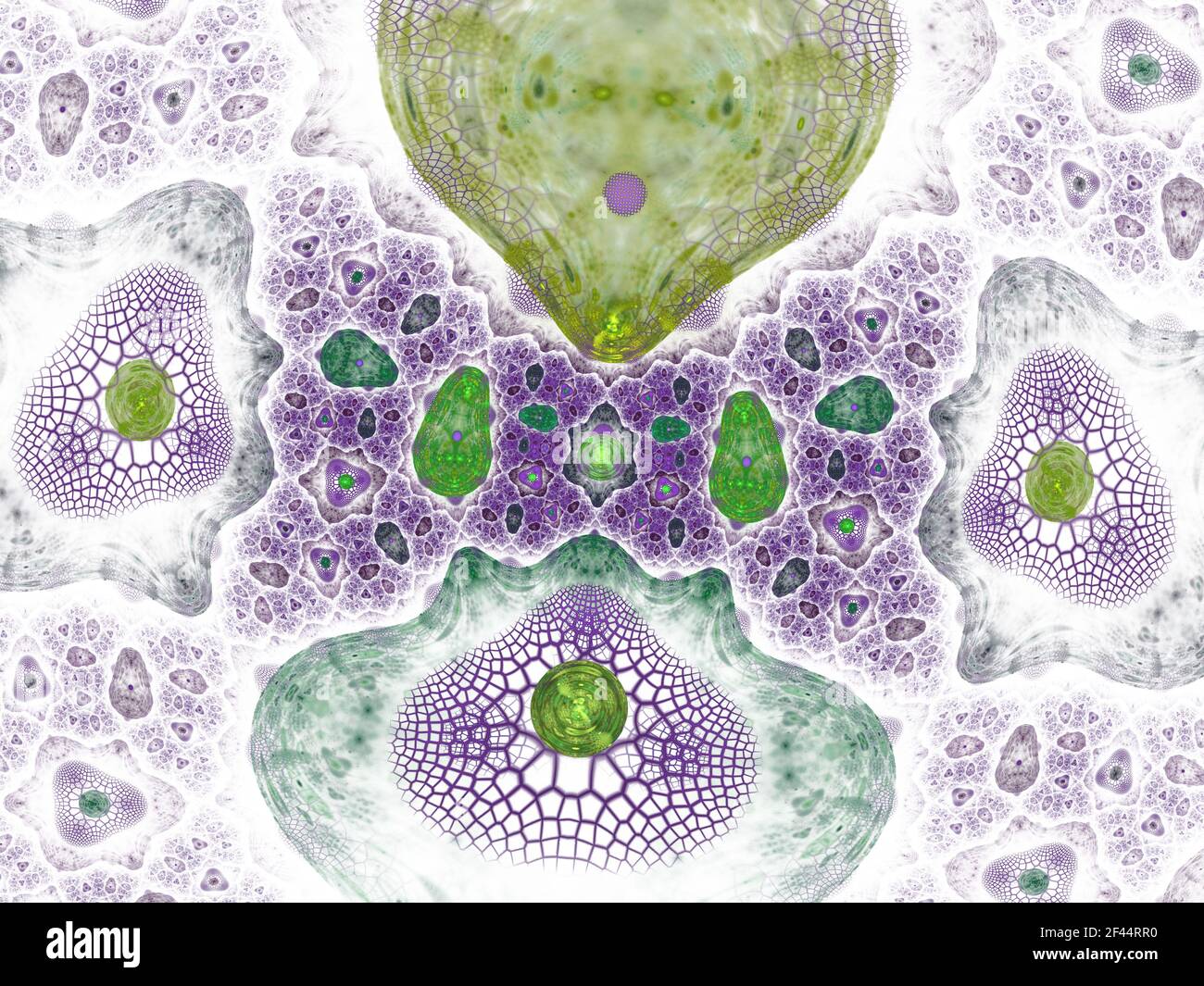 Abstract bio mitosis background. Rendered close up illustration ...