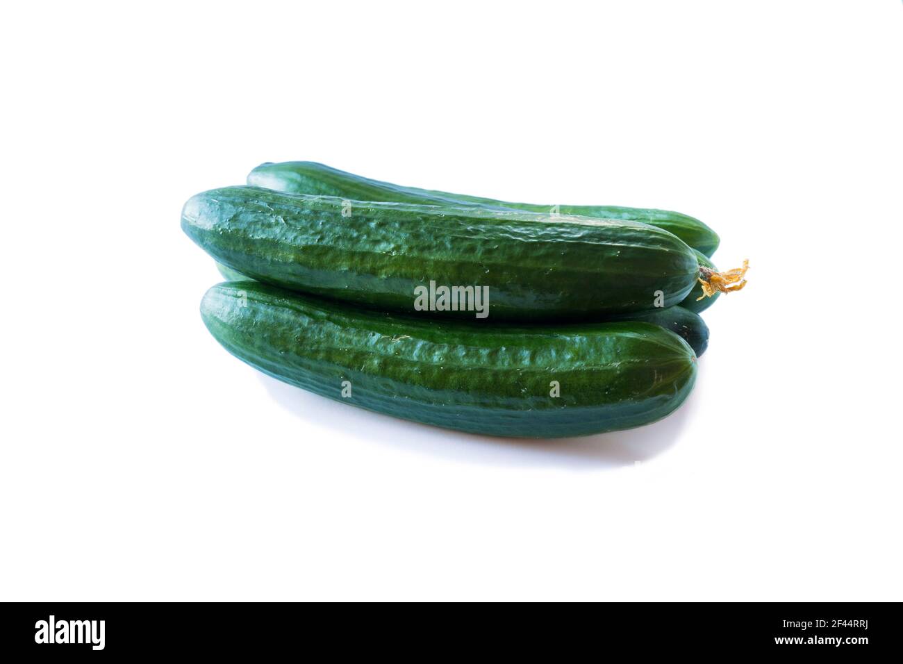 Fresh cucumbers isolated on white background. Design element for ...