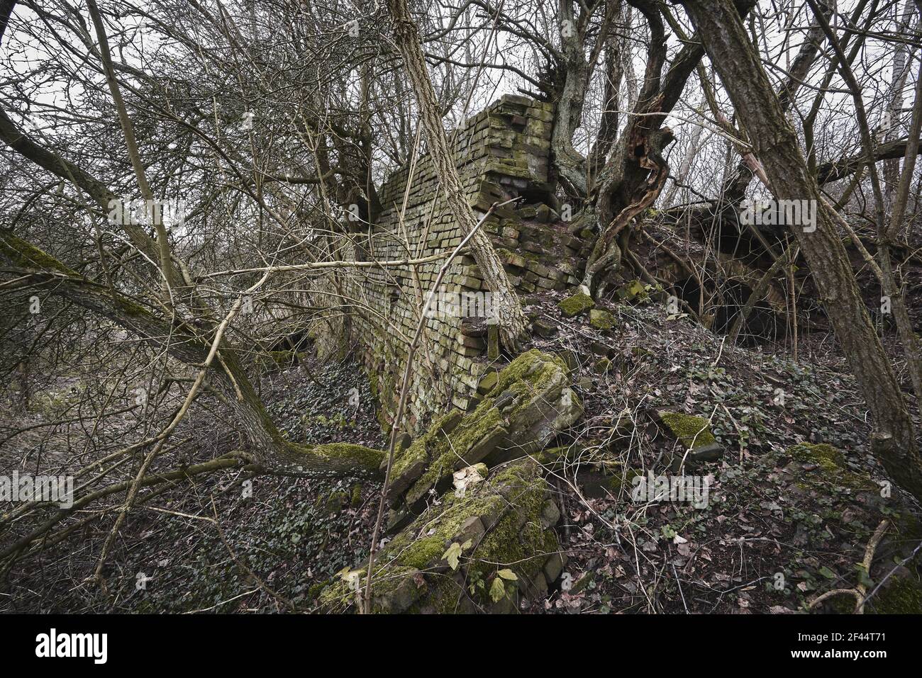 An old destroyed wall surrounded by trees Stock Photo - Alamy