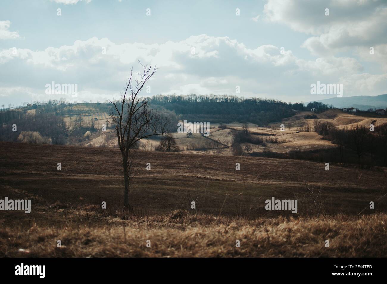 A scenic view of a vast landscape in the countryside under a cloudy sky ...