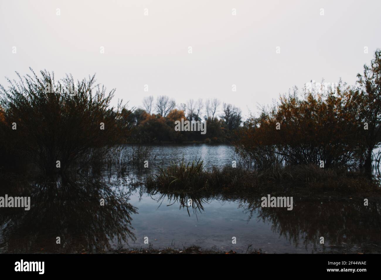 Nature, pure and untouched Stock Photo - Alamy