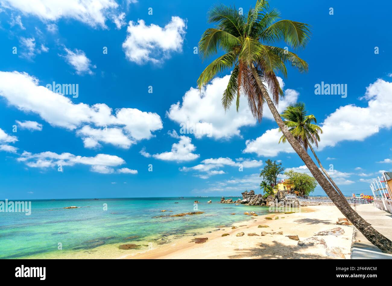 Sunny beach with coconut tree overlooking island and cloudy blue sky ...