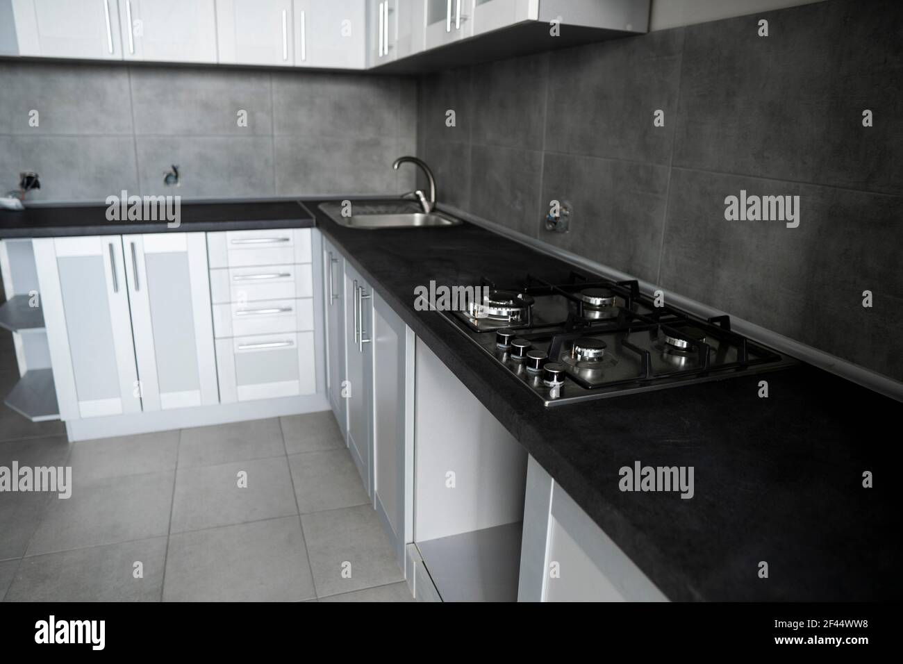 Modern minimalism style kitchen interior in monochrome tones. Custom ...