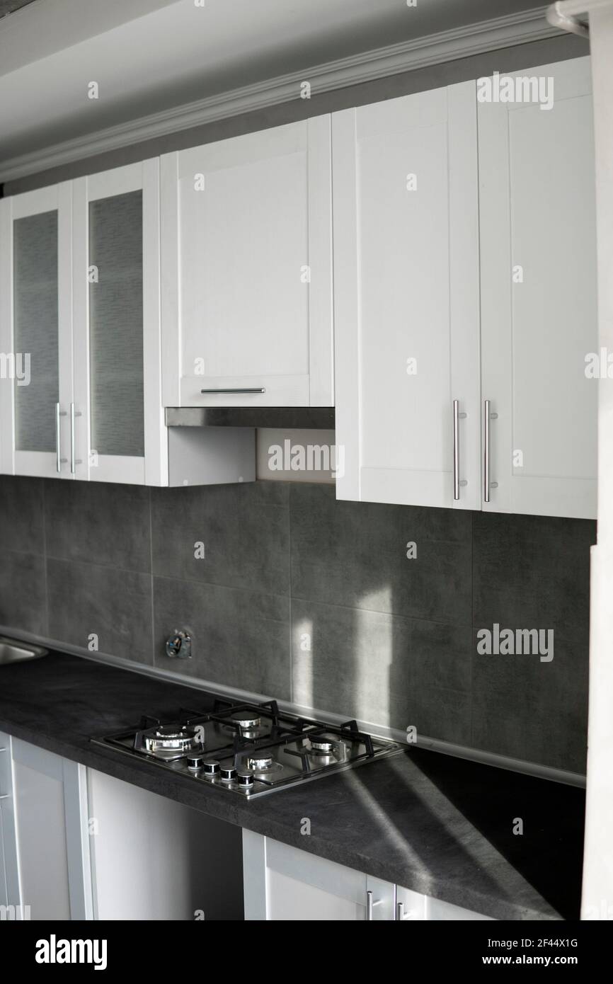 Modern minimalism style kitchen interior in monochrome tones. Custom ...