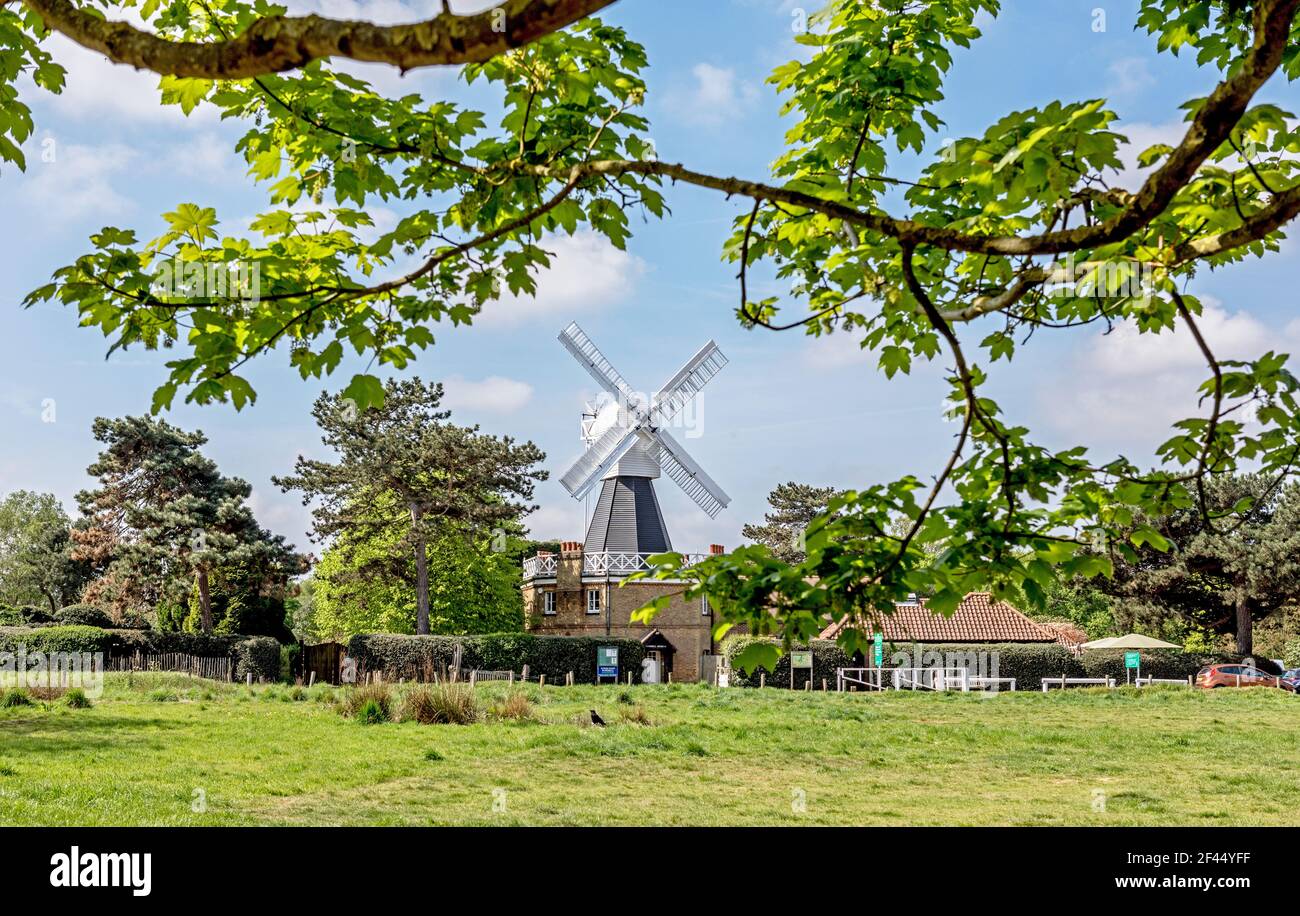 Wimbledon common hi-res stock photography and images - Alamy