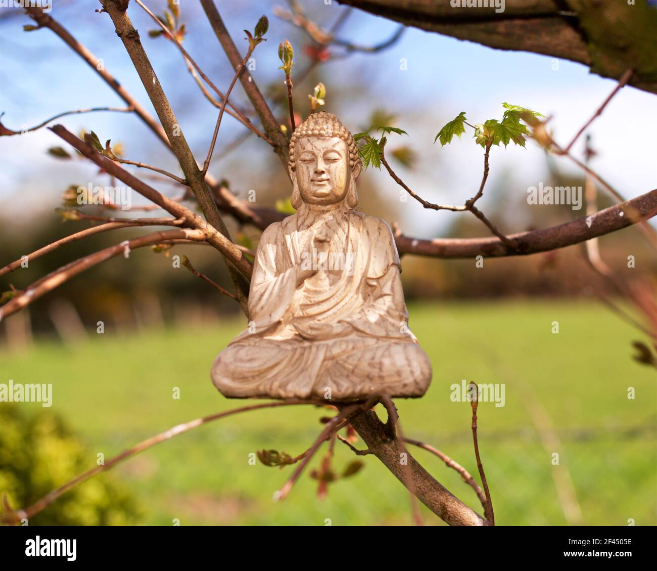Blessing buddha hi-res stock photography and images - Alamy