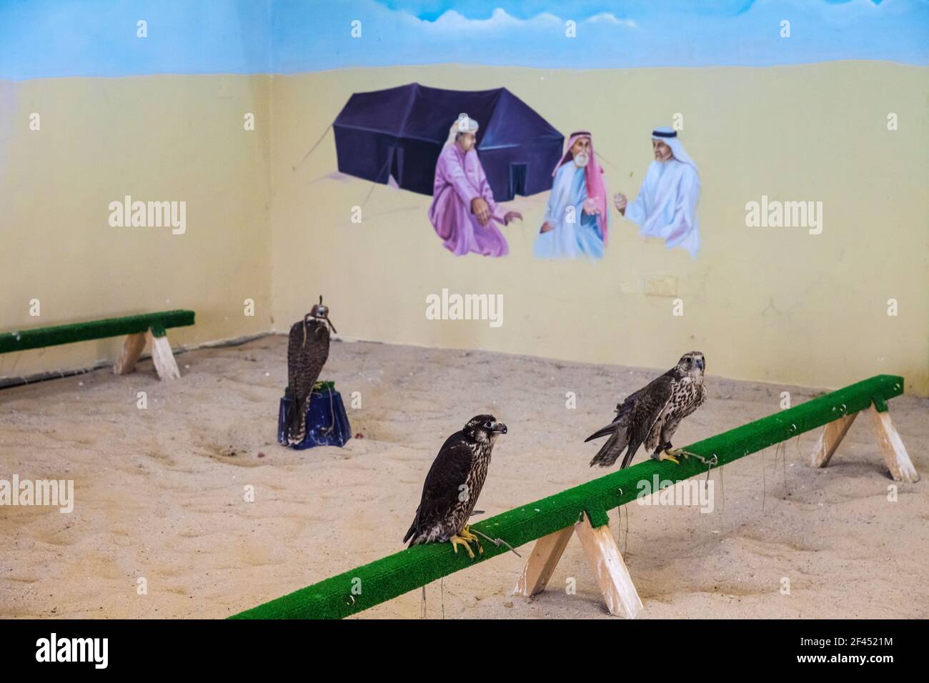 Qatar, Doha, Falcon Souq Stock Photo - Alamy