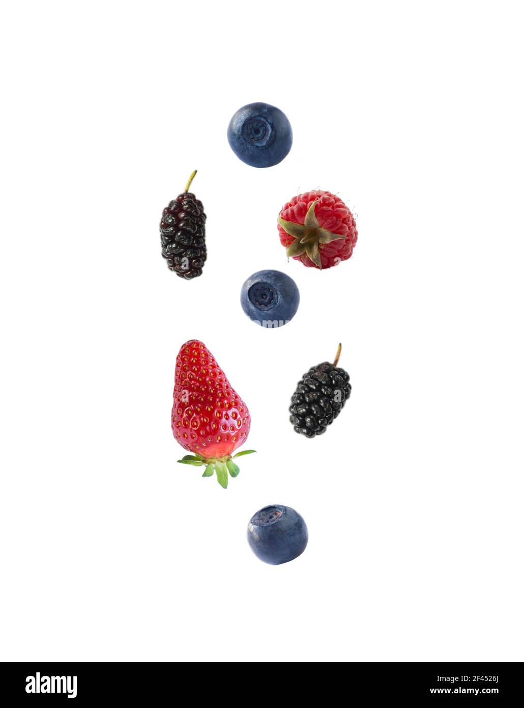 Isolated fresh berries float in the air. Falling mulberry, blueberry ...