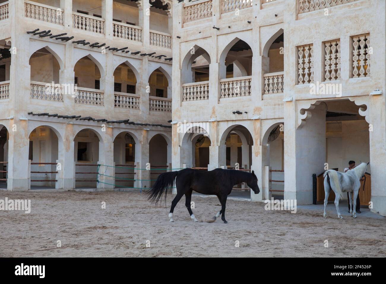 Qatar, Doha, Mounted Police horse stables opposite The Presidential ...