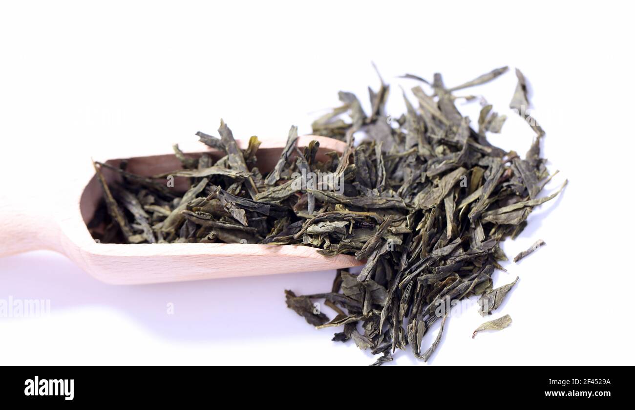 Rolled green leaf Cut Out Stock Images & Pictures - Alamy