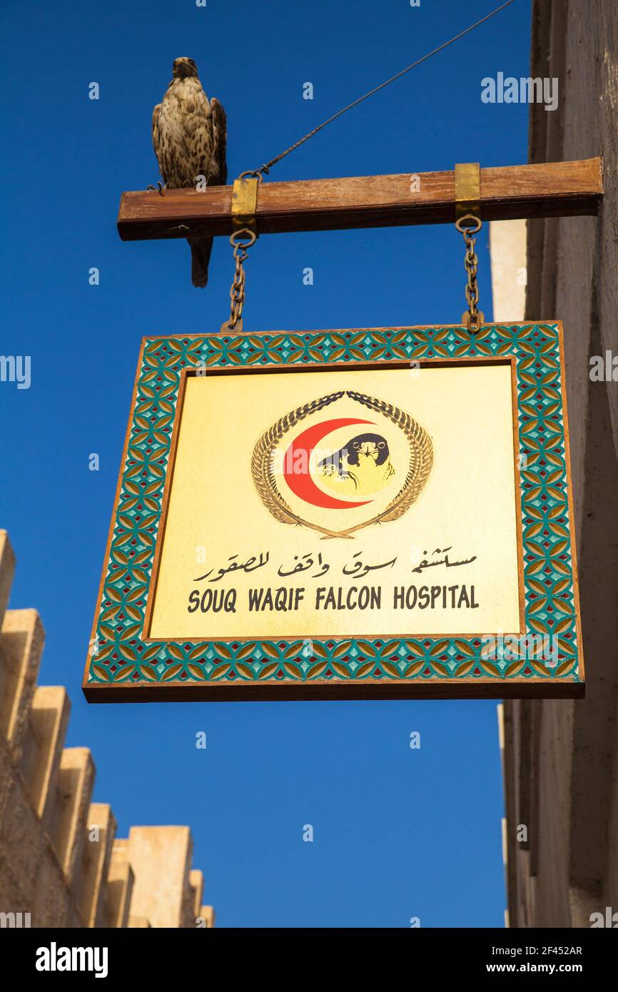 Qatar, Doha, Falcon Souq Stock Photo - Alamy