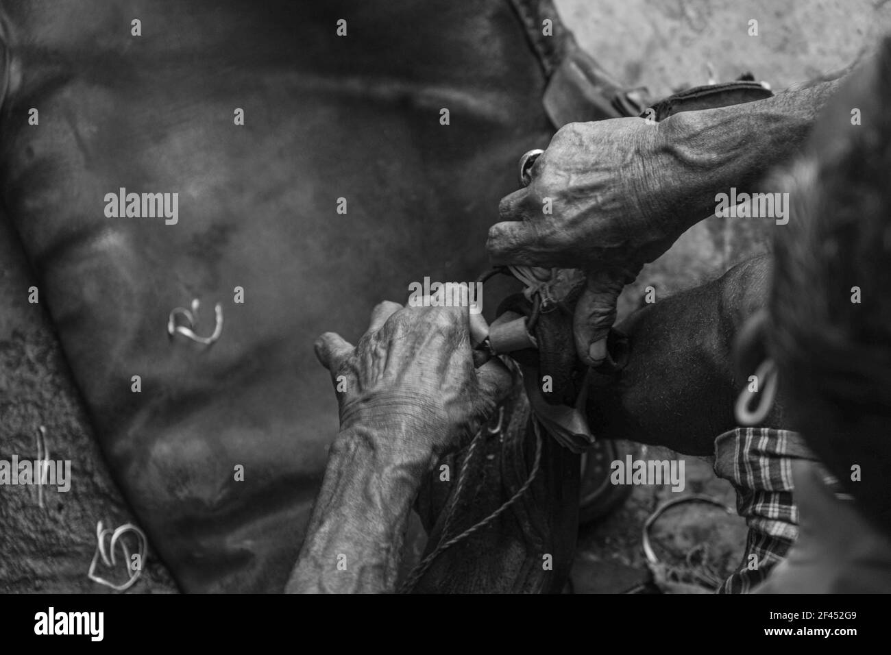 water carriers bhisti Stock Photo - Alamy