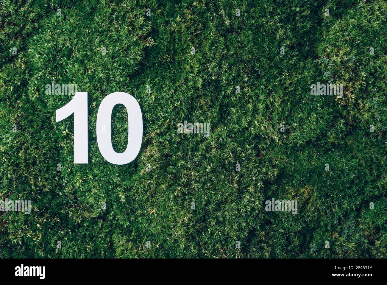 Green grass, digit ten. Birthday greeting card with inscription 10 ...