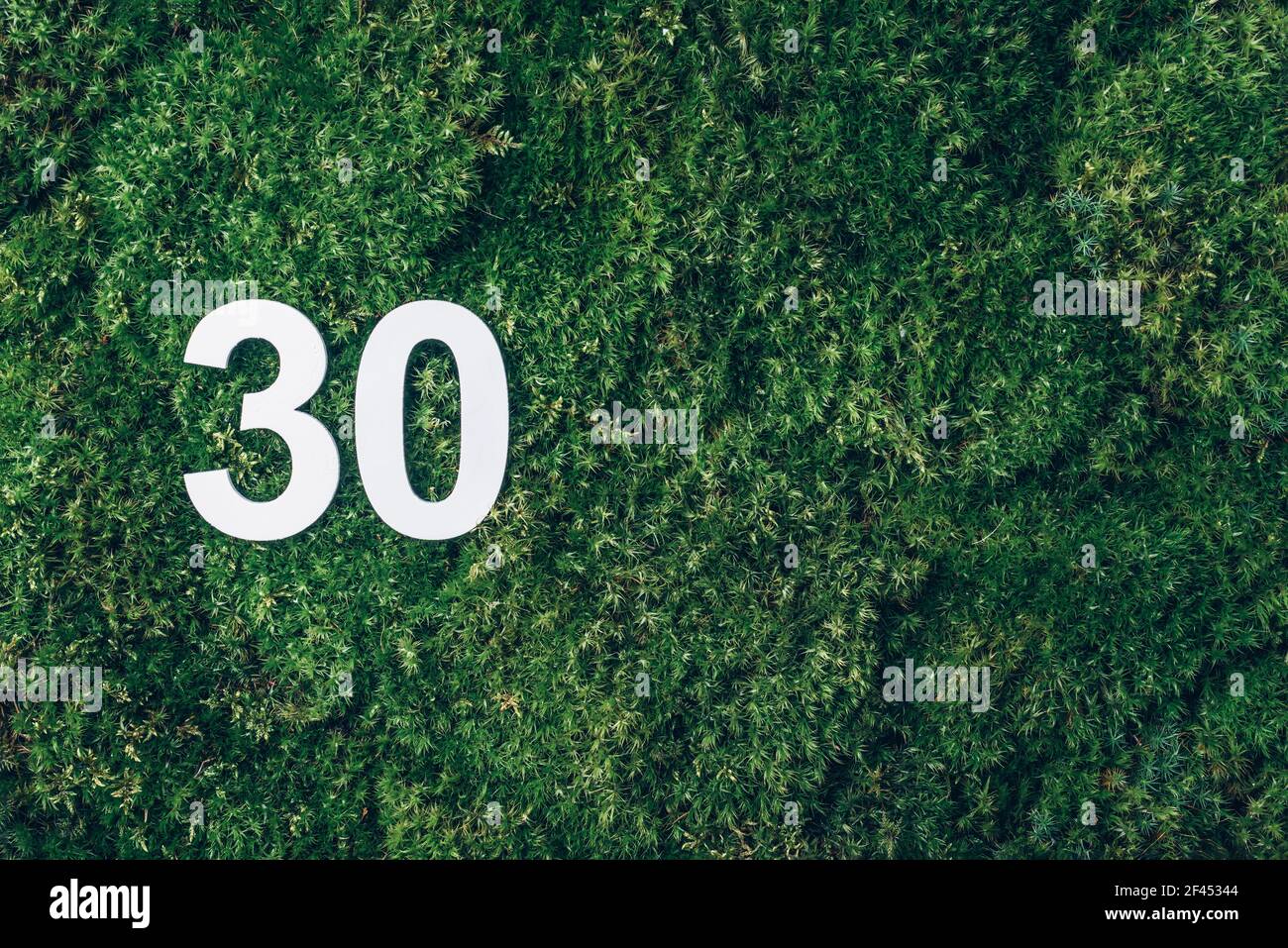 Green grass, digit thirty. Birthday greeting card with inscription 30 ...