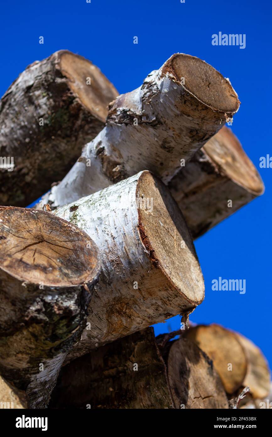 Wooden logs against a deep blue sky. Made on a clear, sunny day Stock ...