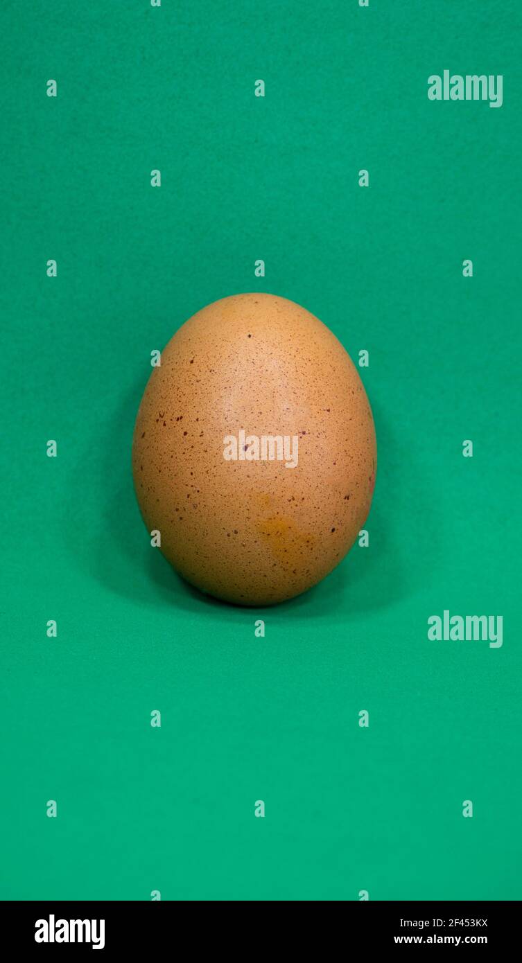 Egg on the green background in center. Negative space for text. Minimal ...