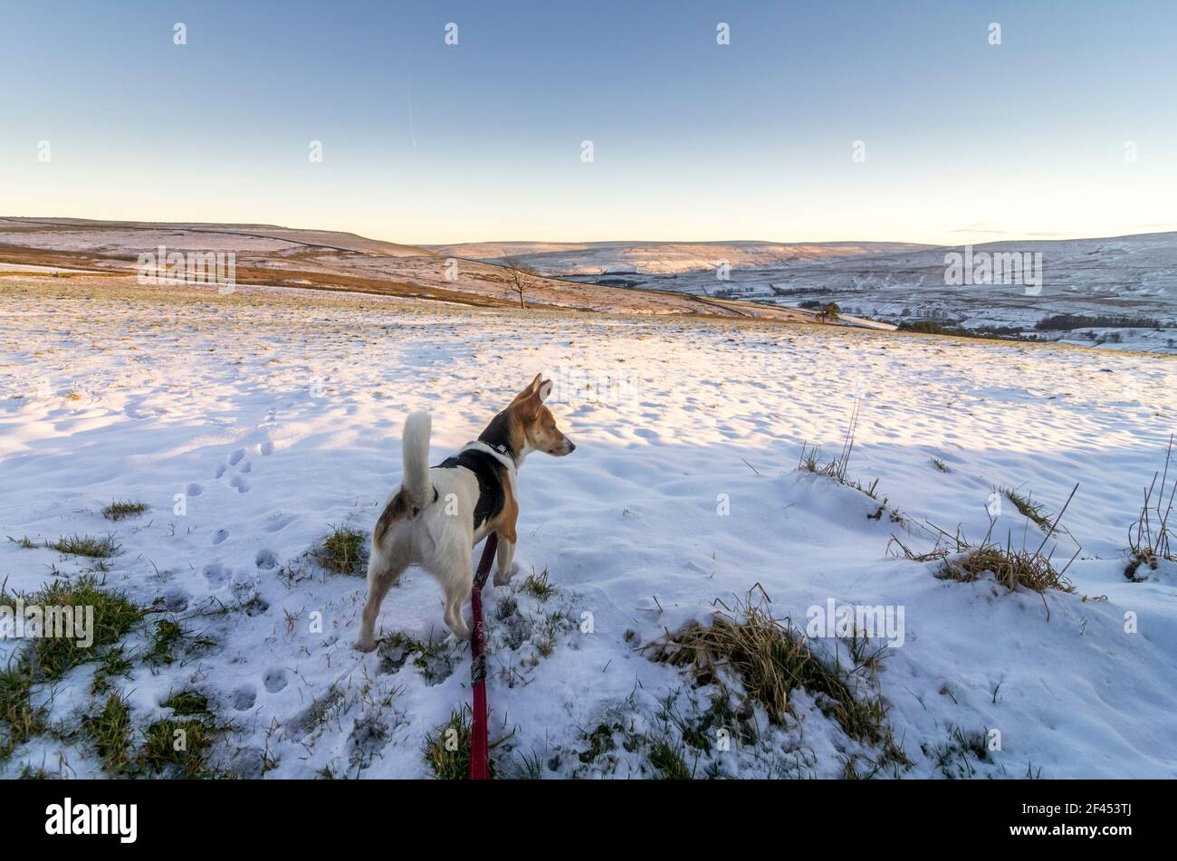 Russell chapel hi-res stock photography and images - Alamy