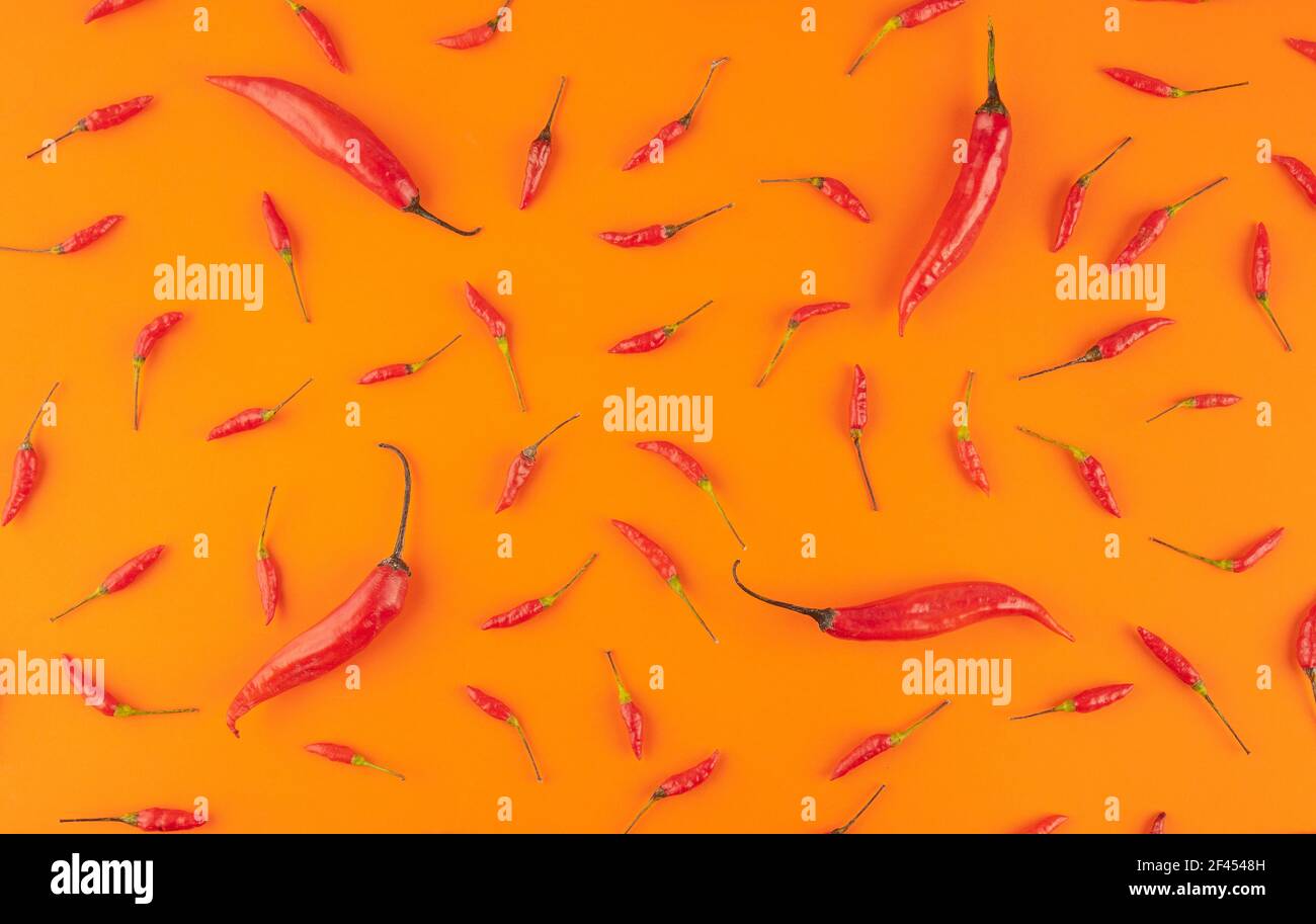 Top view of red peppers over orange background. High contrast backdrop ...