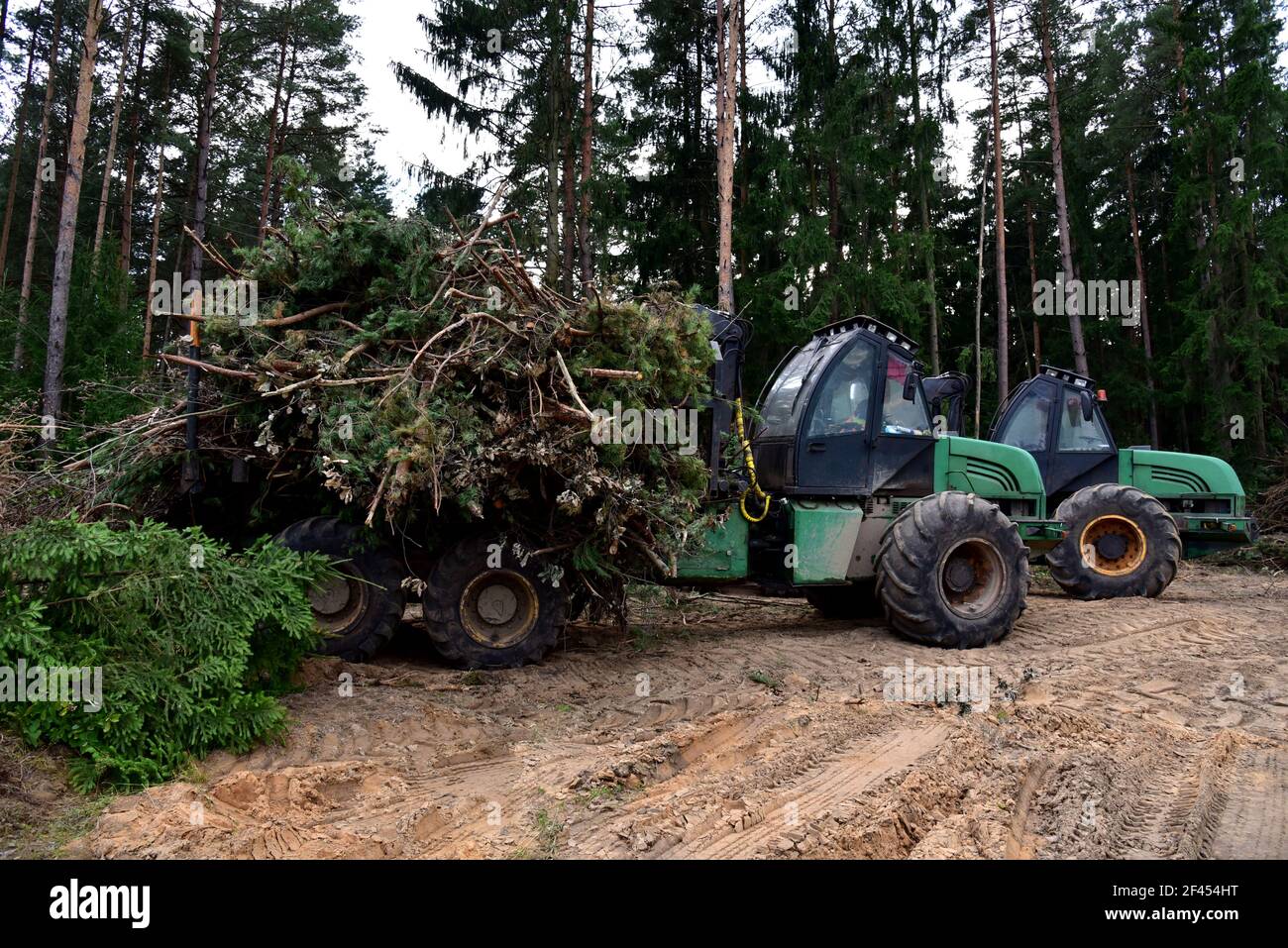 Rainforest logging harvester hi-res stock photography and images - Alamy