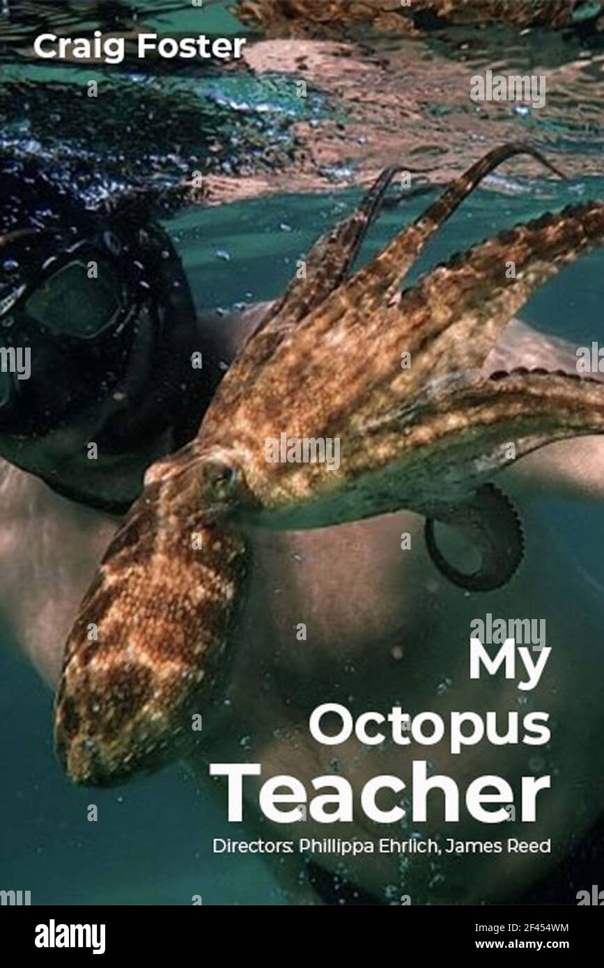 My octopus teacher 2020 hi-res stock photography and images - Alamy