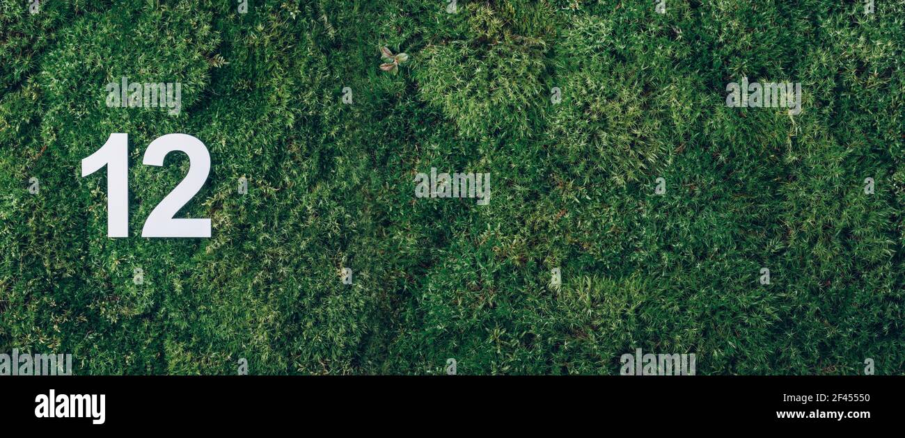 Ecology, zero waste. Green grass, digit twelve. Birthday greeting card ...