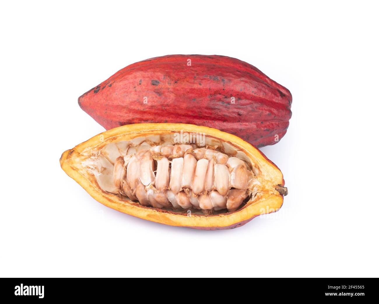 Red cocoa with half fruit isolated over white background Stock Photo ...