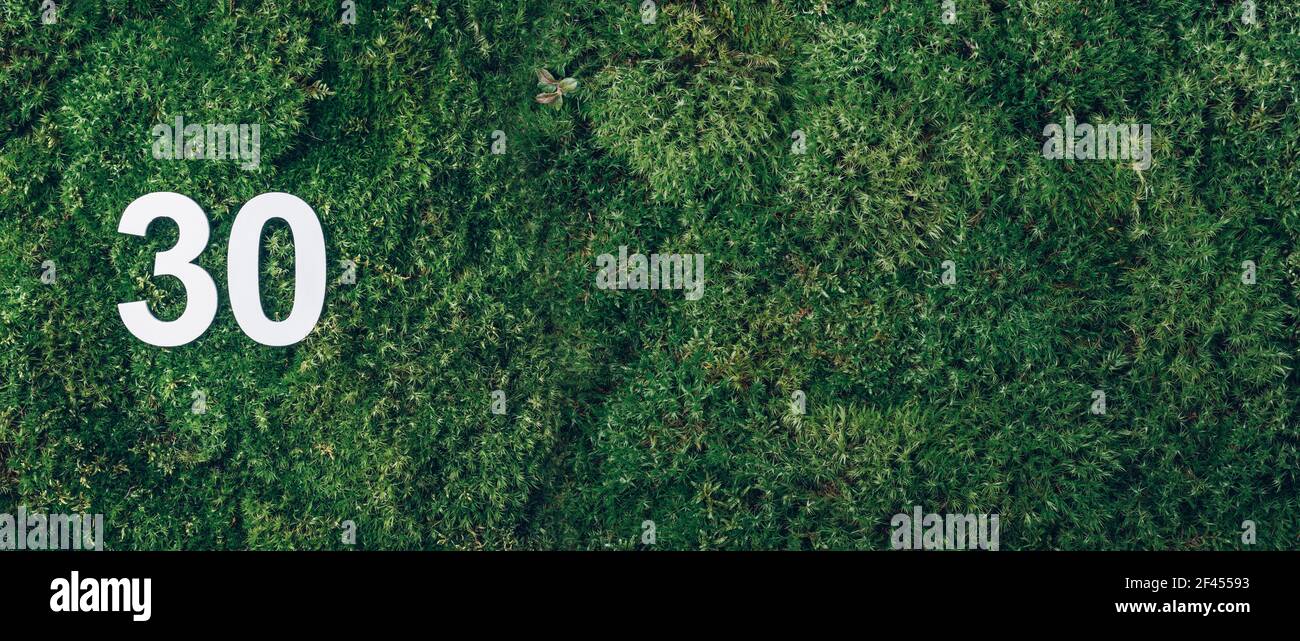 Green grass, digit thirty. Birthday greeting card with inscription 30 ...